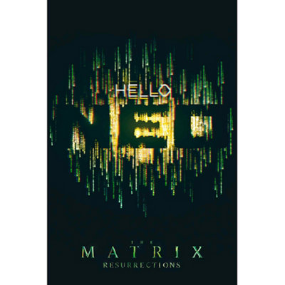 The Matrix Hello Neo 61 x 91.5cm Maxi Poster | DIY at B&Q