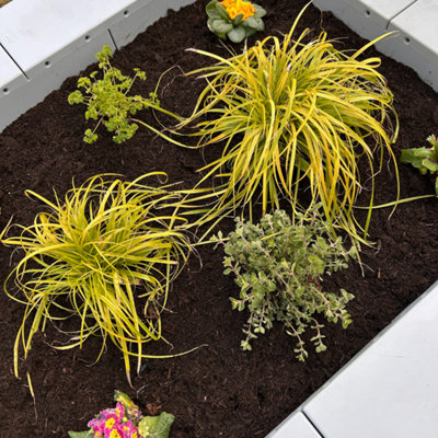 The Middle One - QUICKBLOCK Garden Planter