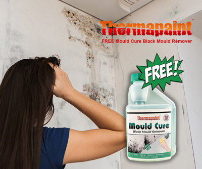 Thermapaint Anti-Mould Paint 5L - With FREE Mould Cure - Brilliant ...