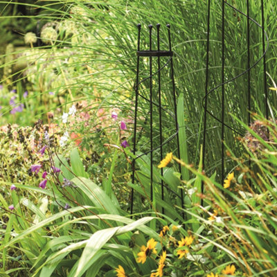 Thompson & Morgan 2 x Small Garden Obelisks 1m Tall, Ideal for Climbing ...
