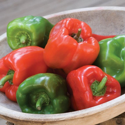 Thompson & Morgan Sweet Crispy F1 Red Pepper Seeds - Medium Thick ...