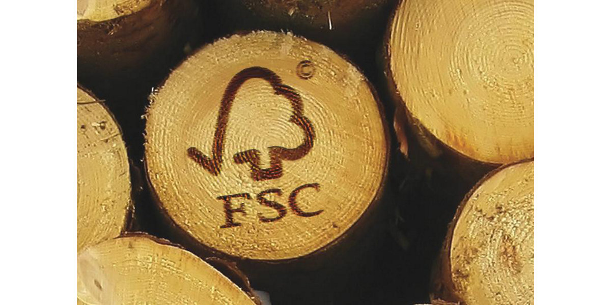 Forest-friendly timber buying guide | Building & Hardware | B&Q