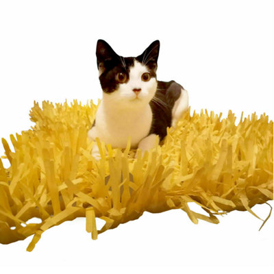 Tissue Paper Grass Mat Cat Toy for indoor Cats and kittens (2 pack) Yellow