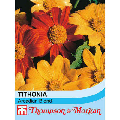 Tithonia Rotundifolia Arcadian Blend 1 Seed Packet (50 Seeds)