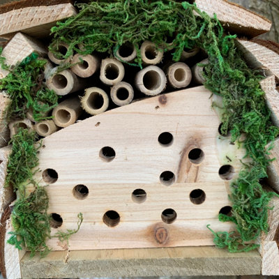 Tom Chambers Garden Wooden Bug House Wild Insect Hanging Habitat with ...
