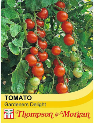 Tomato Gardeners Delight 1 Seed Packet