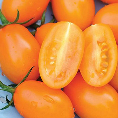 Tomato Orange Beauty F1 1 Seed Packet