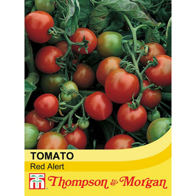 Tomato Red Alert 1 Seed Packet (25 Seeds)