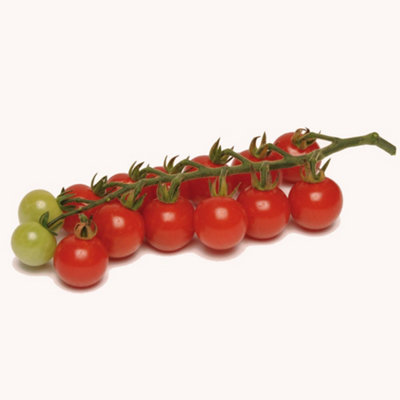 Tomato Sweet Aperitif 1 Seed Packet