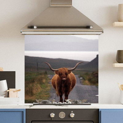 Toughened 6mm Glass Kitchen Splashback 70 x 65cm Road Cow - Polished ...
