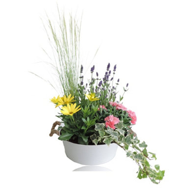 Trad Quadricolor Ceramic Terr, 13cm Pot Size, 2cm Tall, Ceramic Ston ...