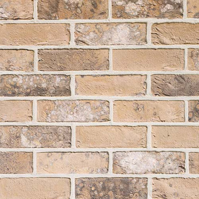 Traditional Brick & Stone Felcourt Antique - Pack of 400 Bricks ...