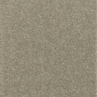 Tranquility Silver Bleach Cleanable Carpet by Remland (Ashen Tan, 2m x 4m)