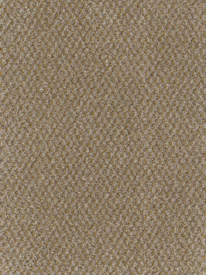 Trident Tweed Carpet by Remland (Honey Mustard, 3m x 5m)