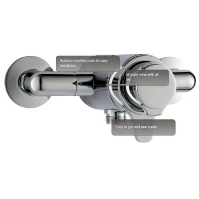 Triton Dene Dual Control Mixer Shower Concentric Thermostatic Exposed ...
