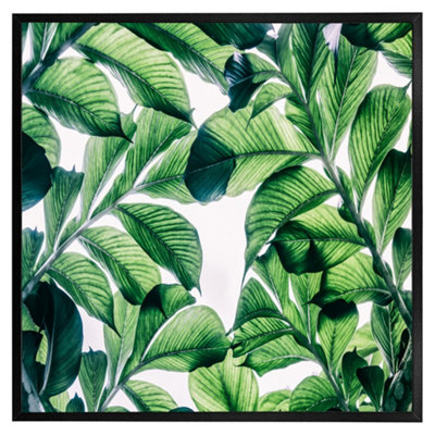 Tropical palm (Picutre Frame) / 24x24" / Black