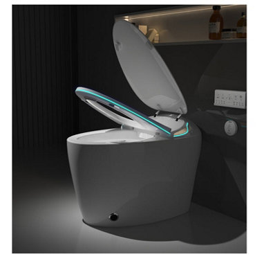 TruClean Aroma Japanese Smart Toilet