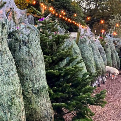 True Products 65cm Christmas Tree LZ Netting - 400m Sleeve for trees ...