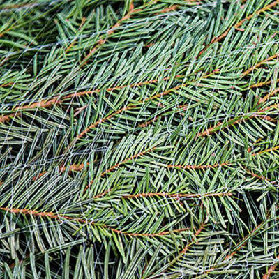 True Products 65cm Christmas Tree LZ Netting - 400m Sleeve for trees ...