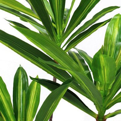 True Products Artificial Dracaena Fragrans Dragon Tree 100cm