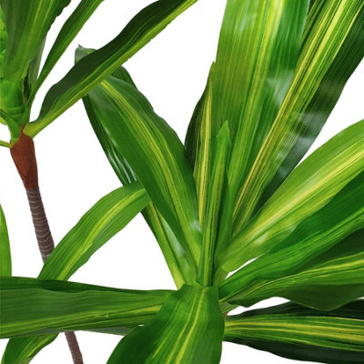 True Products Artificial Dracaena Fragrans Dragon Tree 100cm