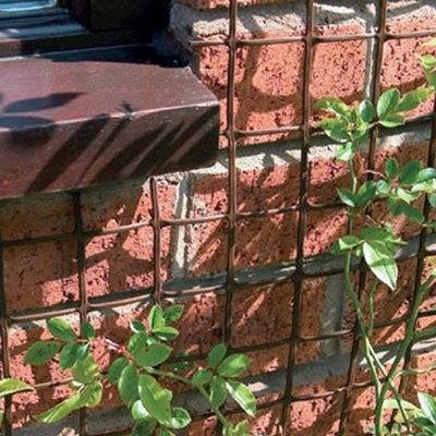 True Products Climbing Plant Support Mesh Pea Bean Garden Trellis ...