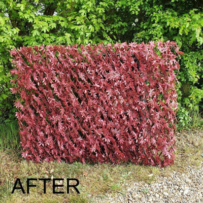 True Products Expanding Willow Trellis Fence with Artificial Red Acer ...