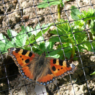 True Products Heavy Duty Fruit & Cage / Mole Protection Mesh - 1m x 5m