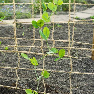 True Products Jute Pea & Bean Netting For Climbing Plants 100% Natural ...