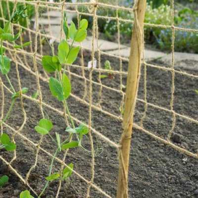 True Products Jute Pea & Bean Netting For Climbing Plants 100% Natural ...
