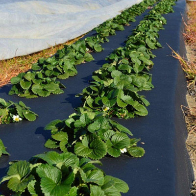 True Products Polythene Sheet Plastic Ground or Protection Cover 270 ...