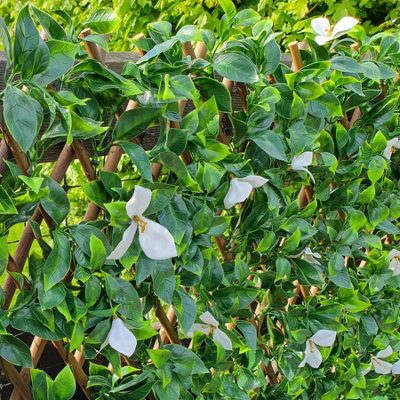 TRUE PRODUCTS PREMIUM EXPANDING WILLOW TRELLIS FENCE - ARTIFICIAL ...