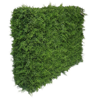 True Products Premium Freestanding Artificial Fern Hedge - Medium