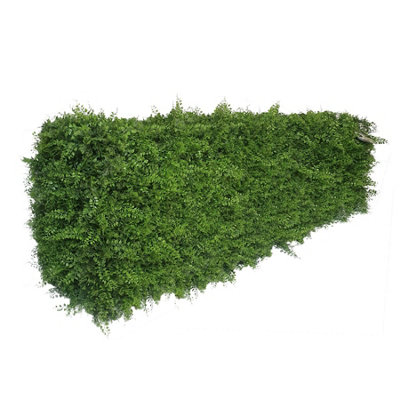 True Products Premium Freestanding Artificial Fern Hedge - Short