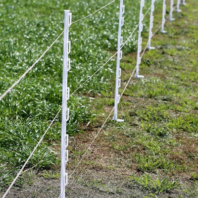 True Products White 4ft/1.2m Heavy Duty Plastic Electric Fence Posts ...