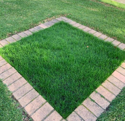 Turf Quick Fix Roll Grow a Healthier Lawn, Faster Turfquick Patch ...