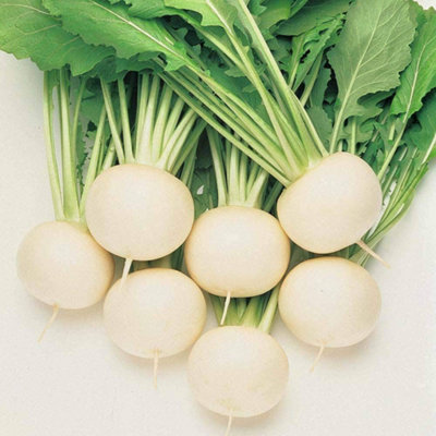 Turnip Oasis F1 Hybrid 1 Seed Packet