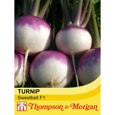 Turnip Sweetbell (SC9-303) F1 Hybrid 1 Seed Packet (100 Seeds) | DIY at B&Q