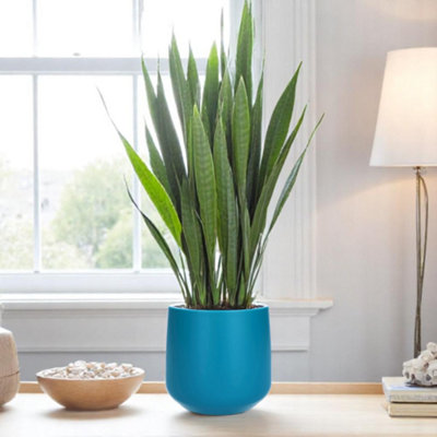 Turquoise Ceramic Indoor Plant Pot - H14.5cm