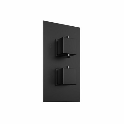 Twin Square Handle Concealed Thermostatic Shower Valve with 1 Outlet ...