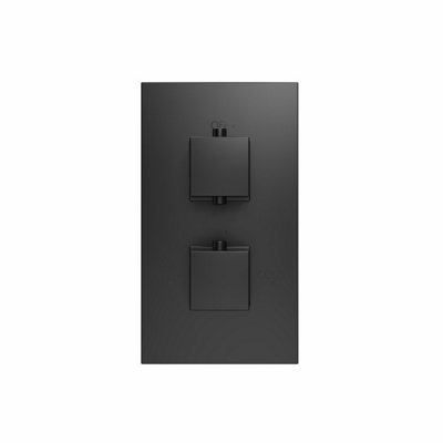 Twin Square Handle Concealed Thermostatic Shower Valve with 1 Outlet ...