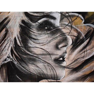 Unframed Wall Art Barbalis Graffiti Woman Girl Street - 12X16 inch