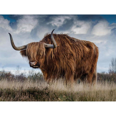 Unframed Wall Art Scottish Highland Cow Coo - 12X16 inch