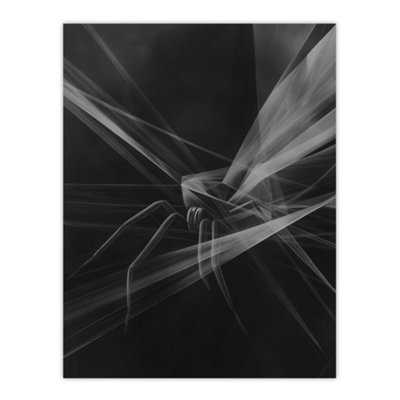 Unframed Wall Art Spider Black White Abstract Cubist Web Threads ...
