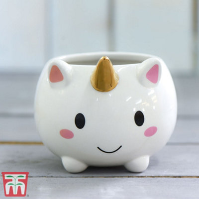 Unicorn Pot with Gold Horn - 2 Pots | DIY at B&Q
