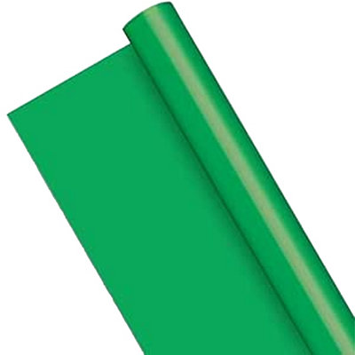 Unique Party Paper Plain Gift Wrap Green (One Size)