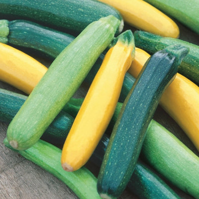 Unwin Vegetable Seeds Courgette Tristar F1