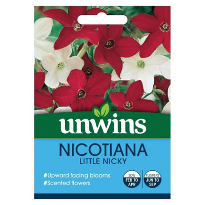 Unwins Flower Seeds - Nicotiana Little Nicky