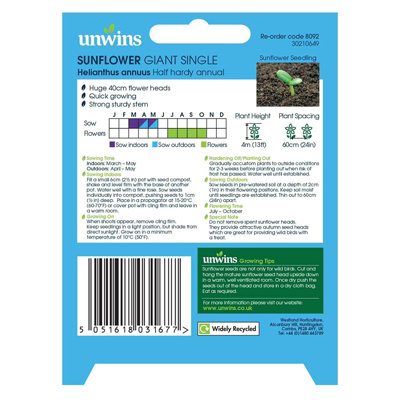 Unwins Flower Seeds - Sunflower Giant Single