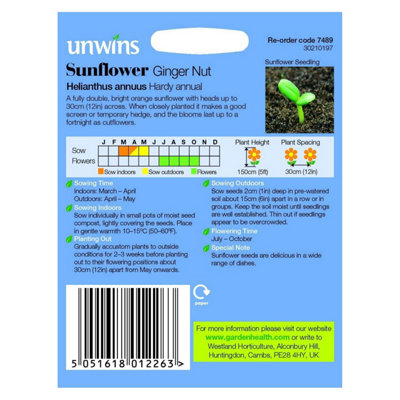 Unwins Flower Seeds - Sunflower Ginger Nut F